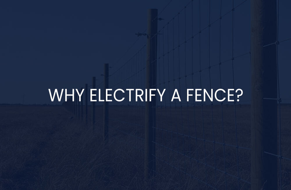 Can You Electrify Your Fence Legally? - Home Safety Plans
